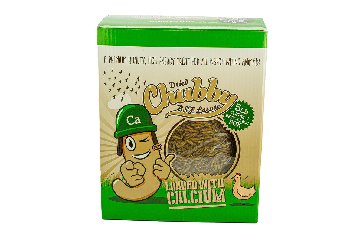Buy 5lb Black Soldier Fly Larvae Box | High Calcium | Chubby – Chubby ...