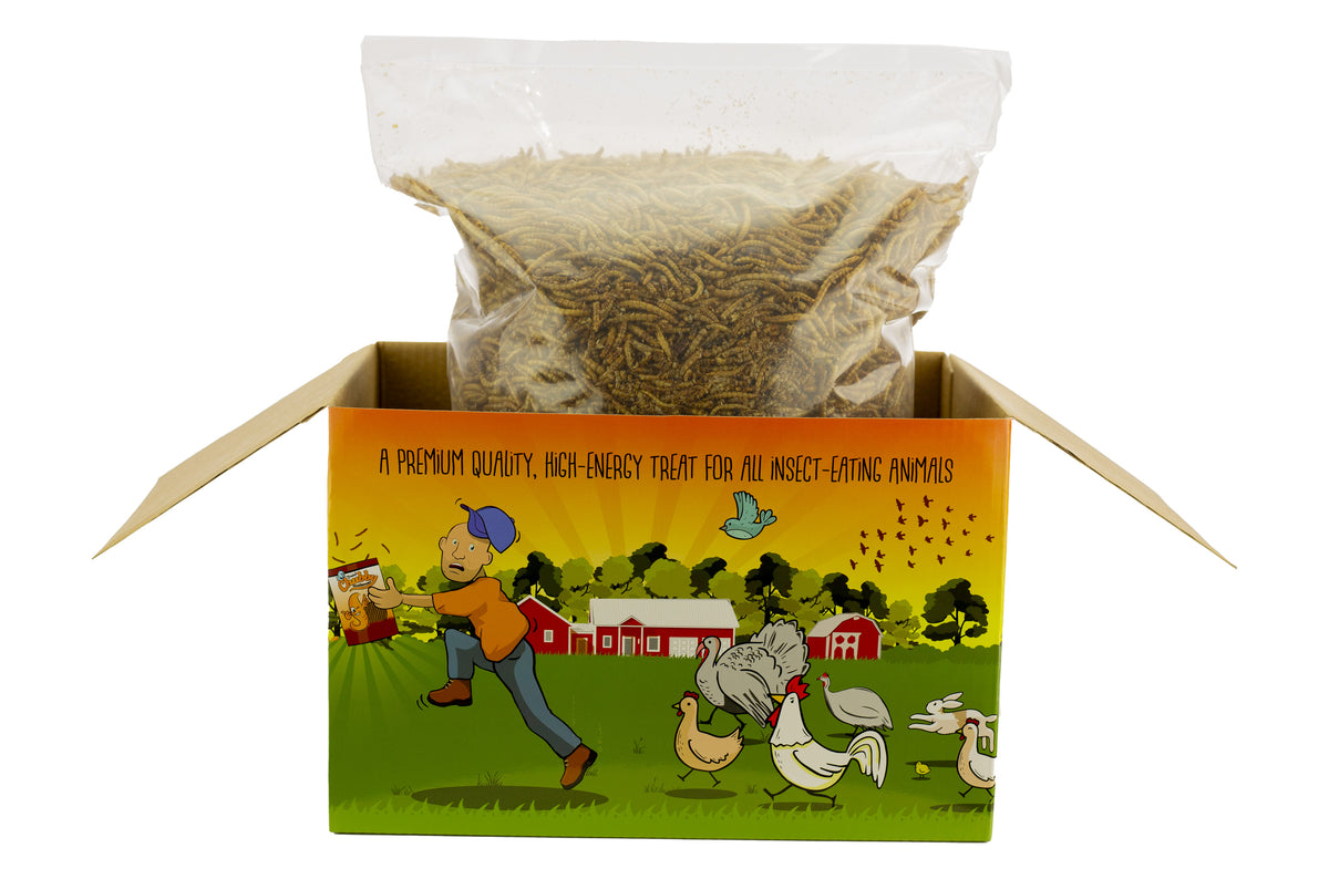 3Lb Chubby Dried Mealworms - Coop Dreams Limited Edition Box – Chubby ...